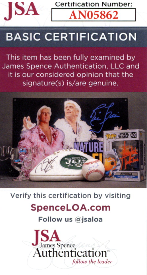 Secretariat with JSA Authenticated Signature by Ron Turcotte - 32"x33 ...