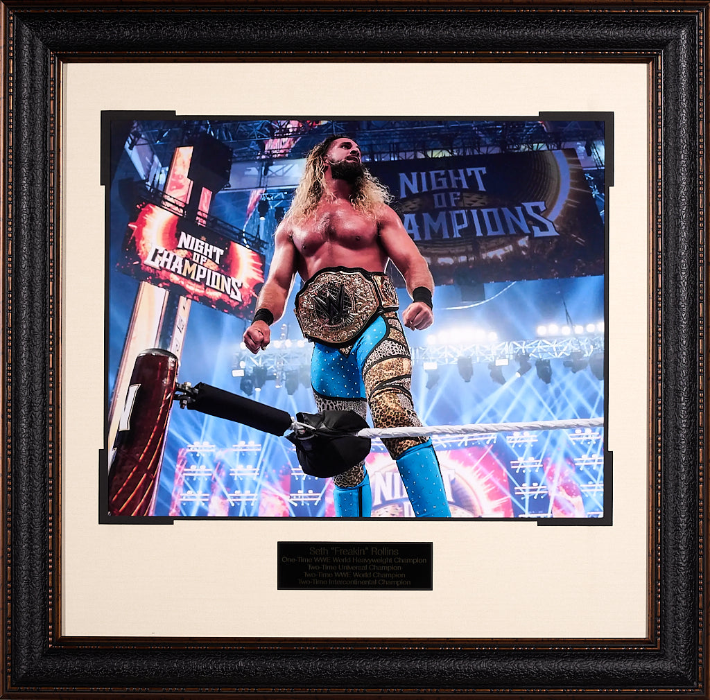 Seth "Freakin" Rollins World Wrestling Entertainment 16" x 20" Color P ...